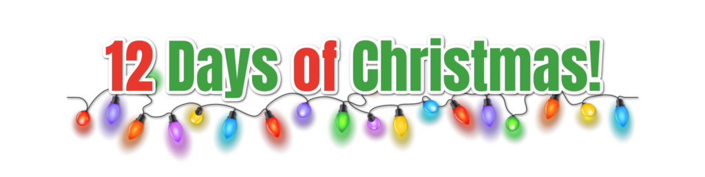 Its-Time-for-the-12-Days-of-Christmas-banner - Kidz Backyard